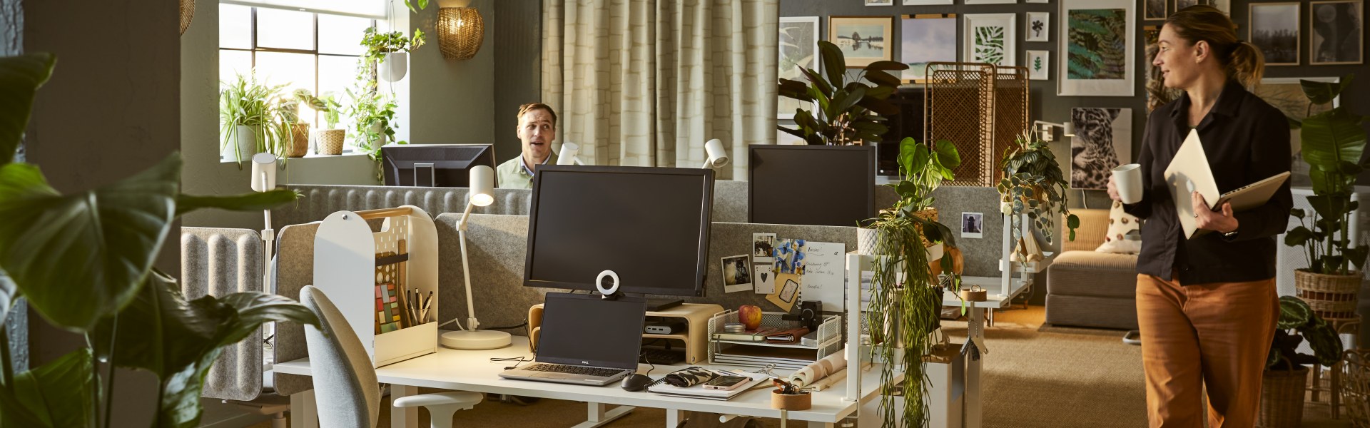 Inter IKEA Foundation is the ultimate owner of Inter IKEA Group